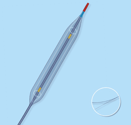 Catheters | CD Bioparticles