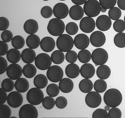 Embolic agent | CD Bioparticles