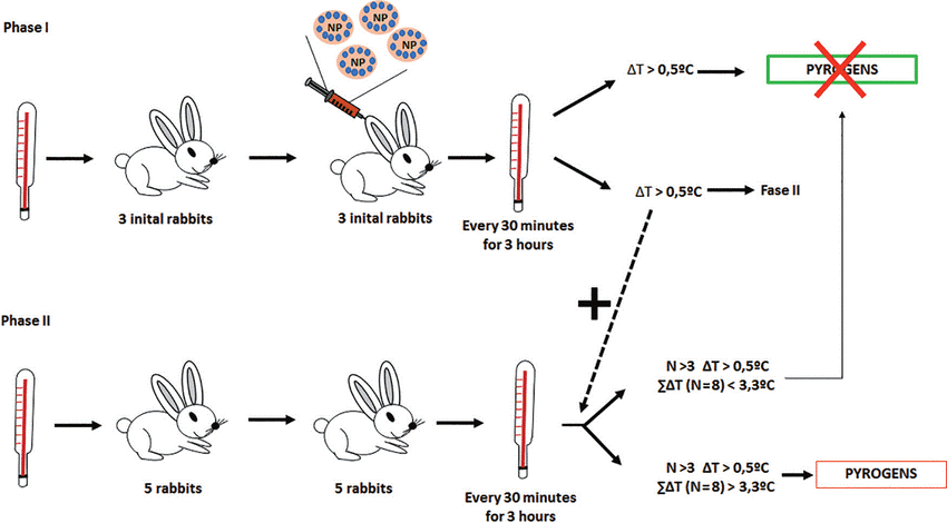 Medical Device Pyrogenicity Tests Services | CD Bioparticles