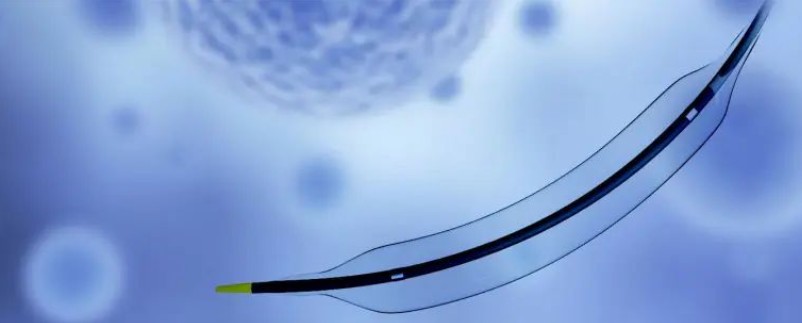 Coating | CD Bioparticles