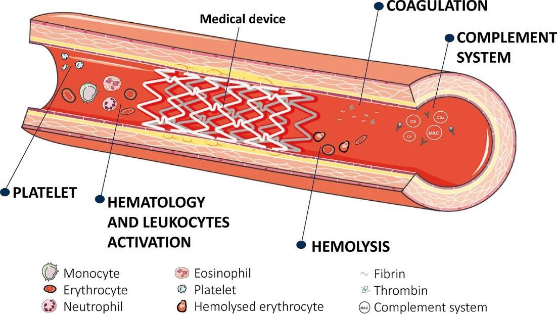 Medical Device Hemolysis Test Services | CD Bioparticles