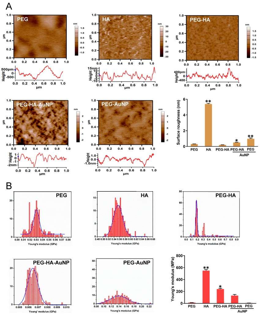 Medical Device Coating Morphology/Roughness Properties Testing Service ...