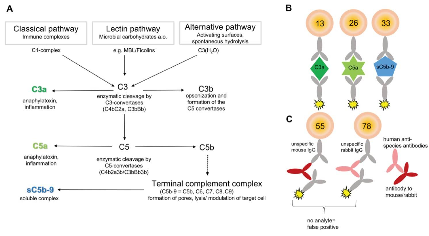 Medical Device Complement Activation Assay Services | CD Bioparticles