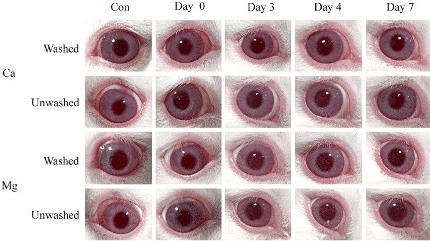 Medical Device Eye Irritation Test Services | CD Bioparticles