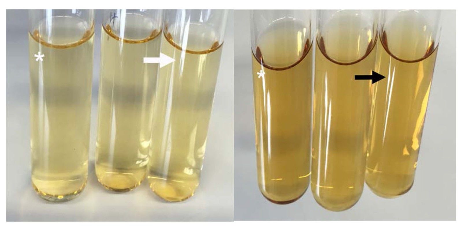 Medical Device Sterile Test Services | CD Bioparticles