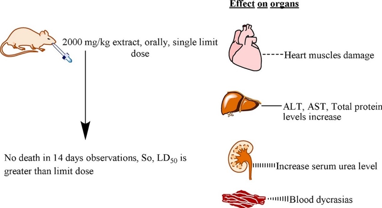 Medical Device Systemic Toxicity (Acute) Tests Services | CD Bioparticles